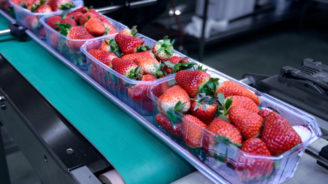 Conveying in Material Handling | Encoder Conveyor Tracking