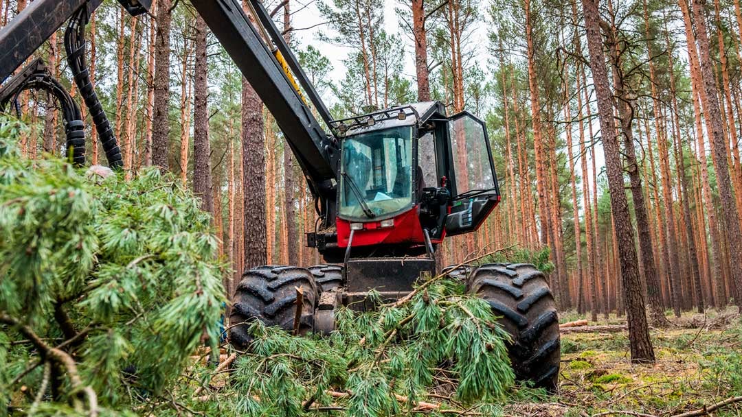 Encoders for Timber Products | Encoders for Logging & Lumber Industry